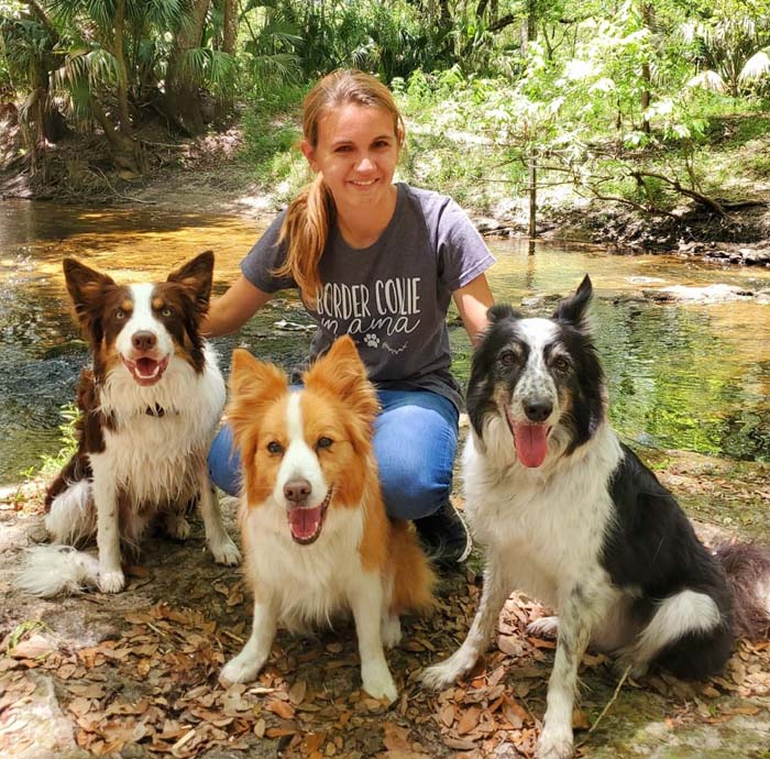 Cassie Kennedy – Private In-Home Dog Training